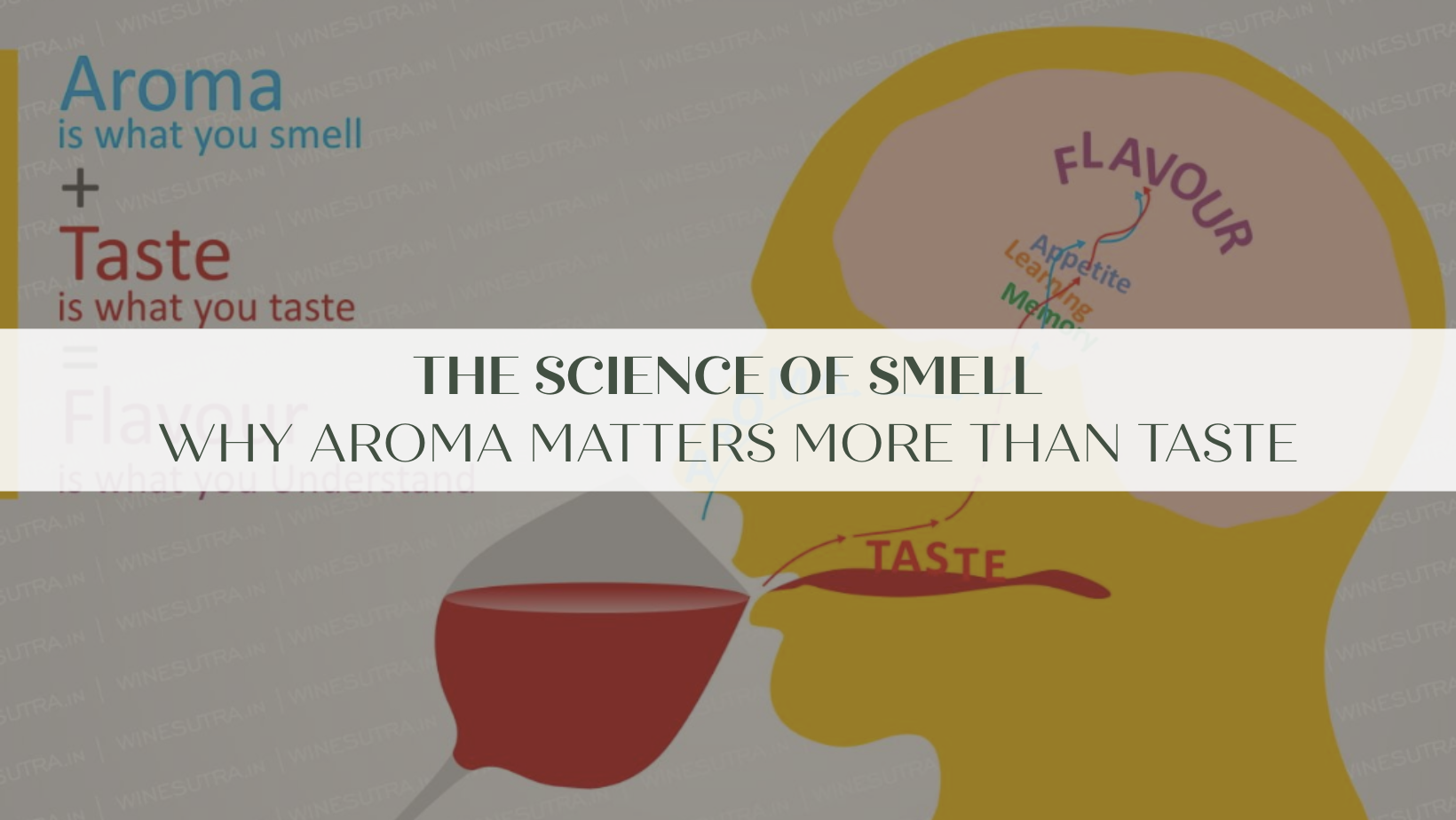 The Science of Smell: Why Aroma Matters More Than Taste