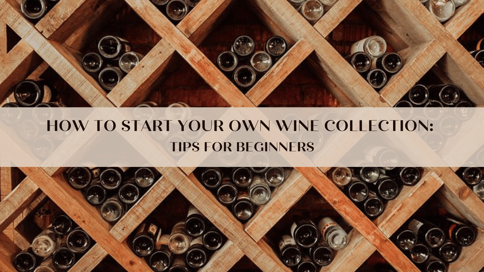 How to Start Your Own Wine Collection: Tips for Beginners
