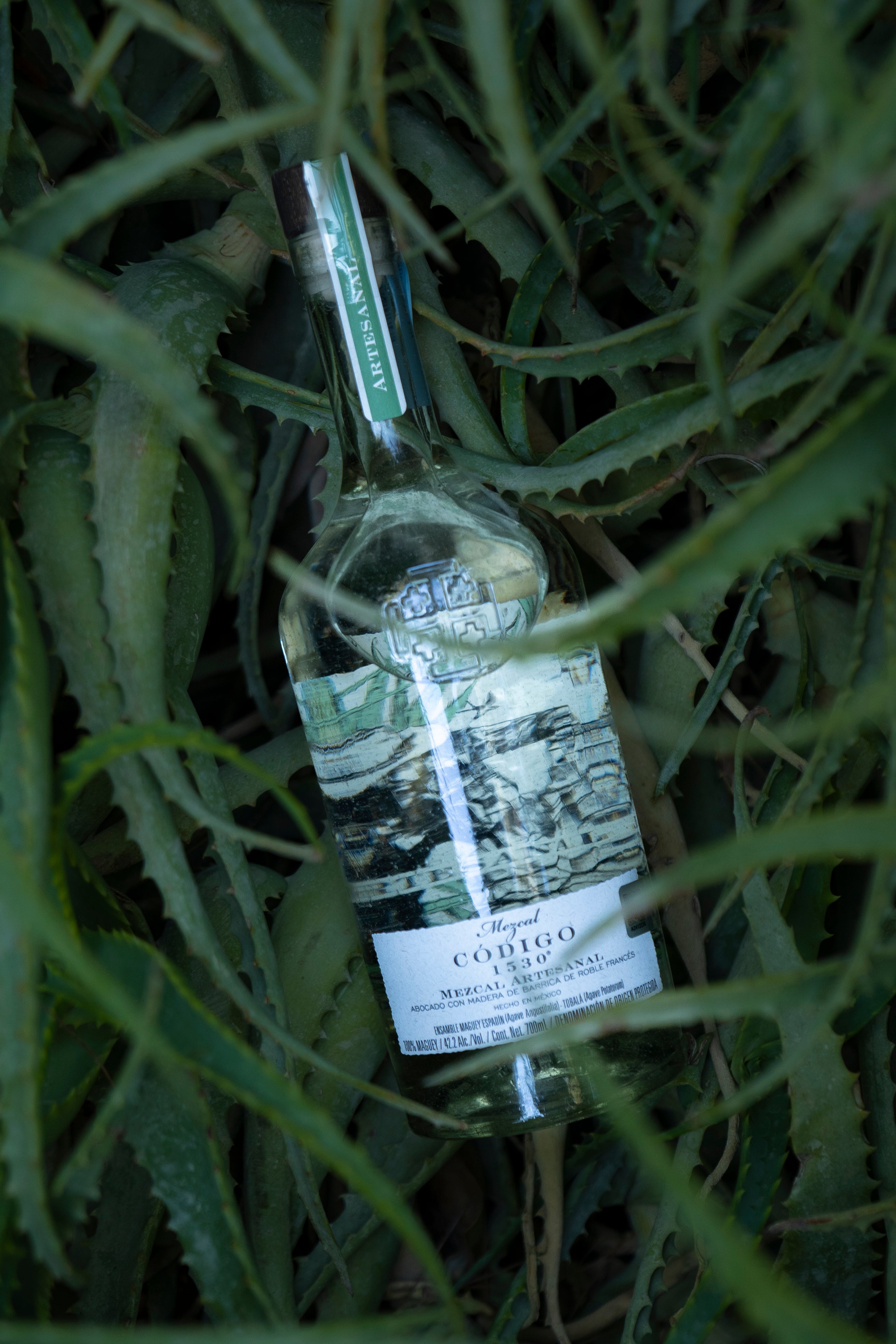 Additive-Free Alliance Tequila Amman Jordan